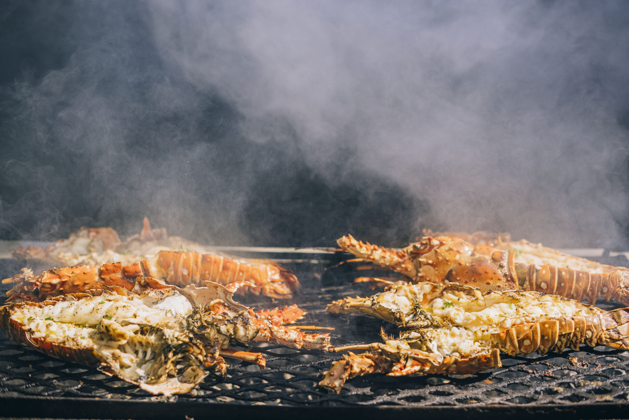 Experience Belize Lobster Fest This Summer At Casa Al Mar - Casa Al Mar ...