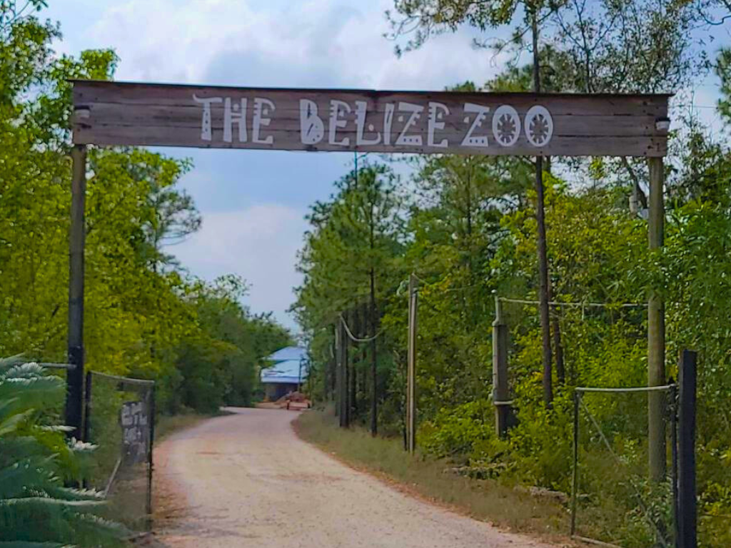 Wonders of The Belize Zoo | Casa Al Mar, Belize